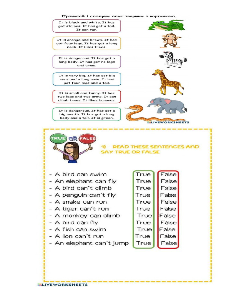 Animal Worksheet | PDF