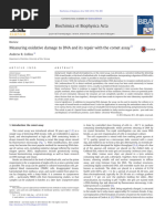 Springer Nature Word Template Guide | PDF | Citation | Paragraph