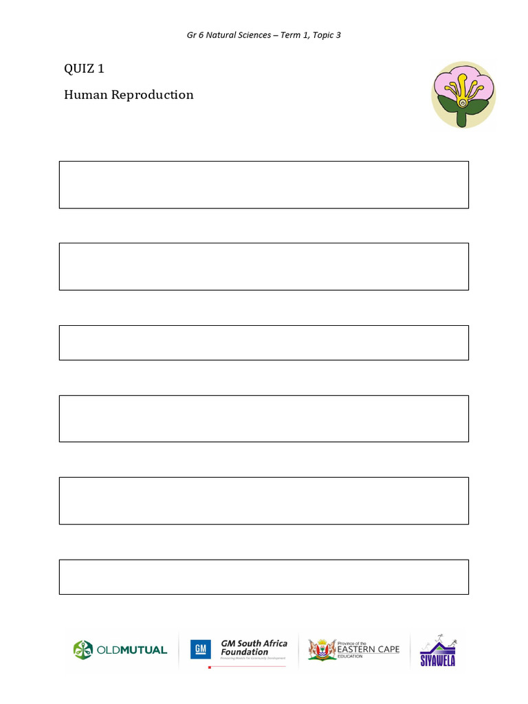 Gr 6 Quiz on Human Reproduction | PDF