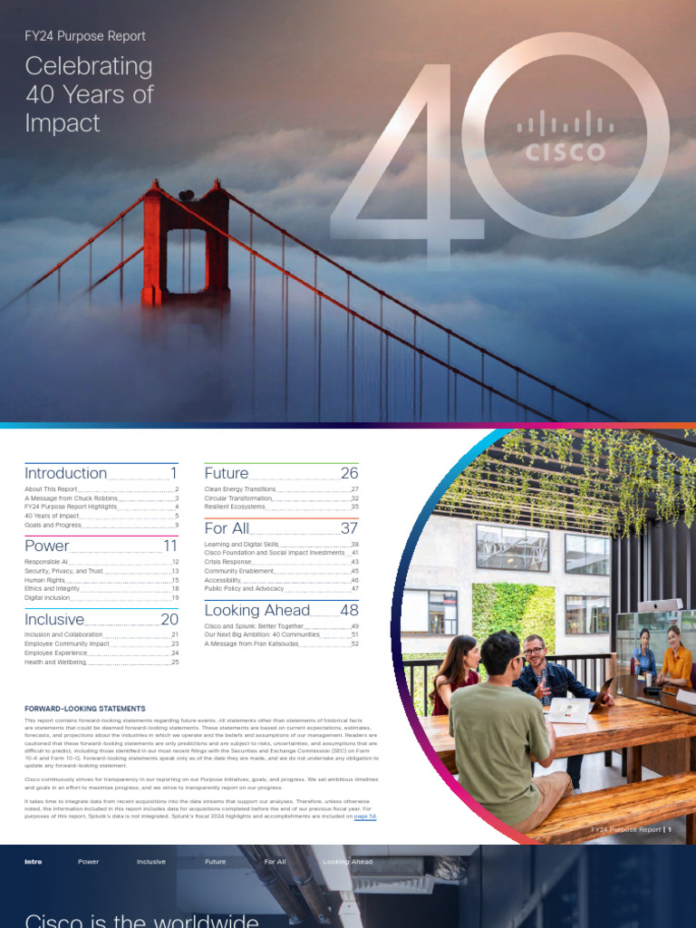 Purpose Report 2024 | PDF