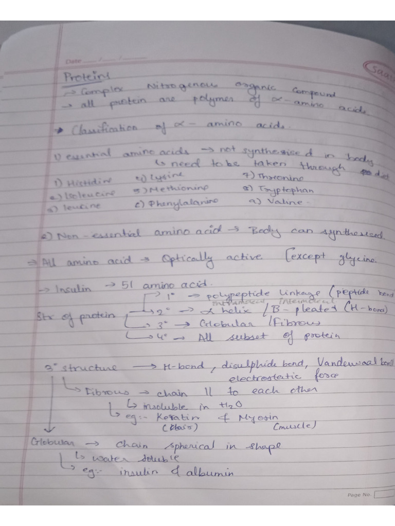 Biomolecules Class 12 Chem Part 3 | PDF