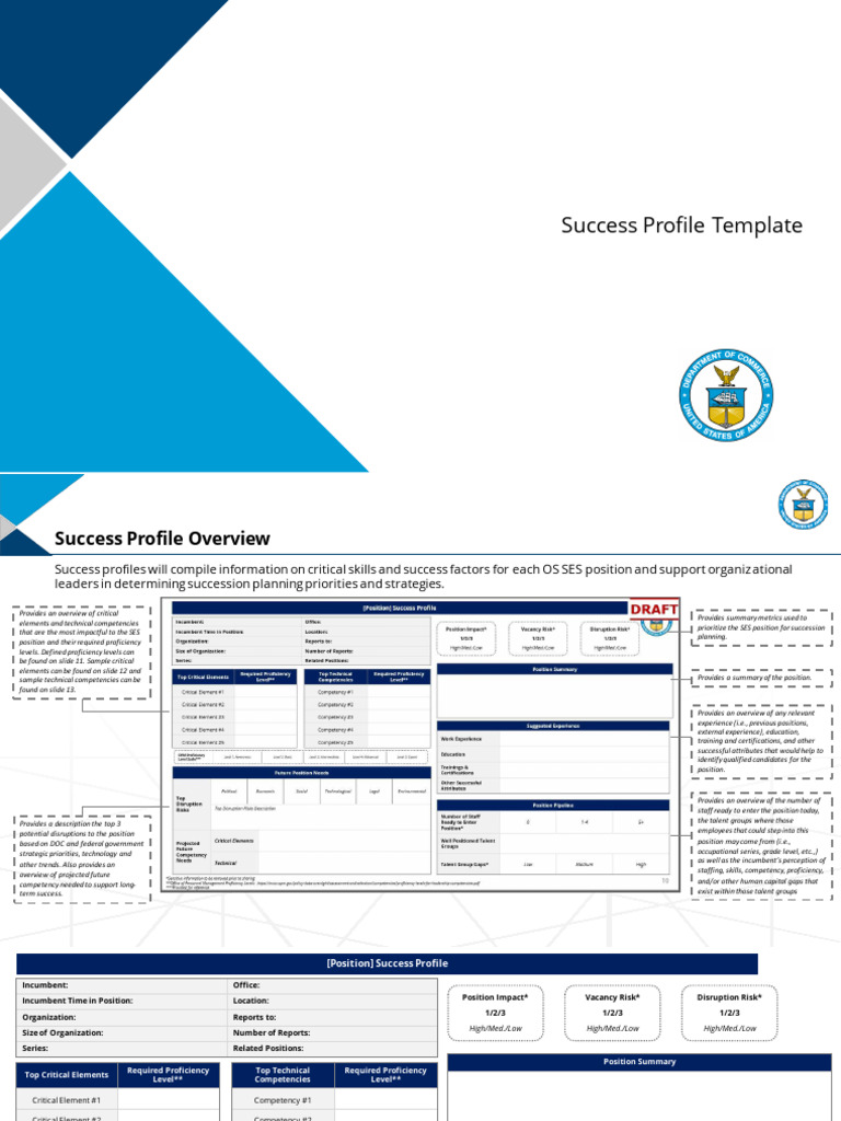 Success Profile Template | PDF | Goal | Data