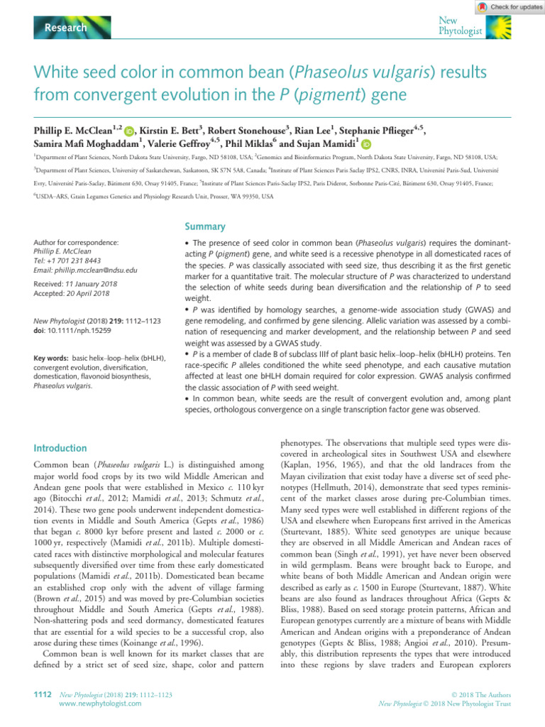 White Seed Color in Common Bean (Phaseolus Vulgaris) Results From ...