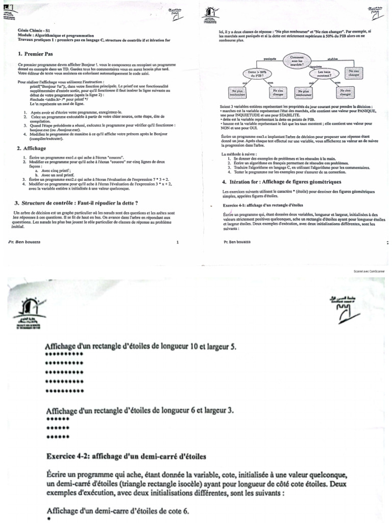 Programation Fsts | PDF
