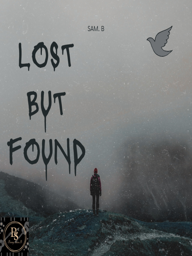 Lost and Found: Sam B's Journey | PDF