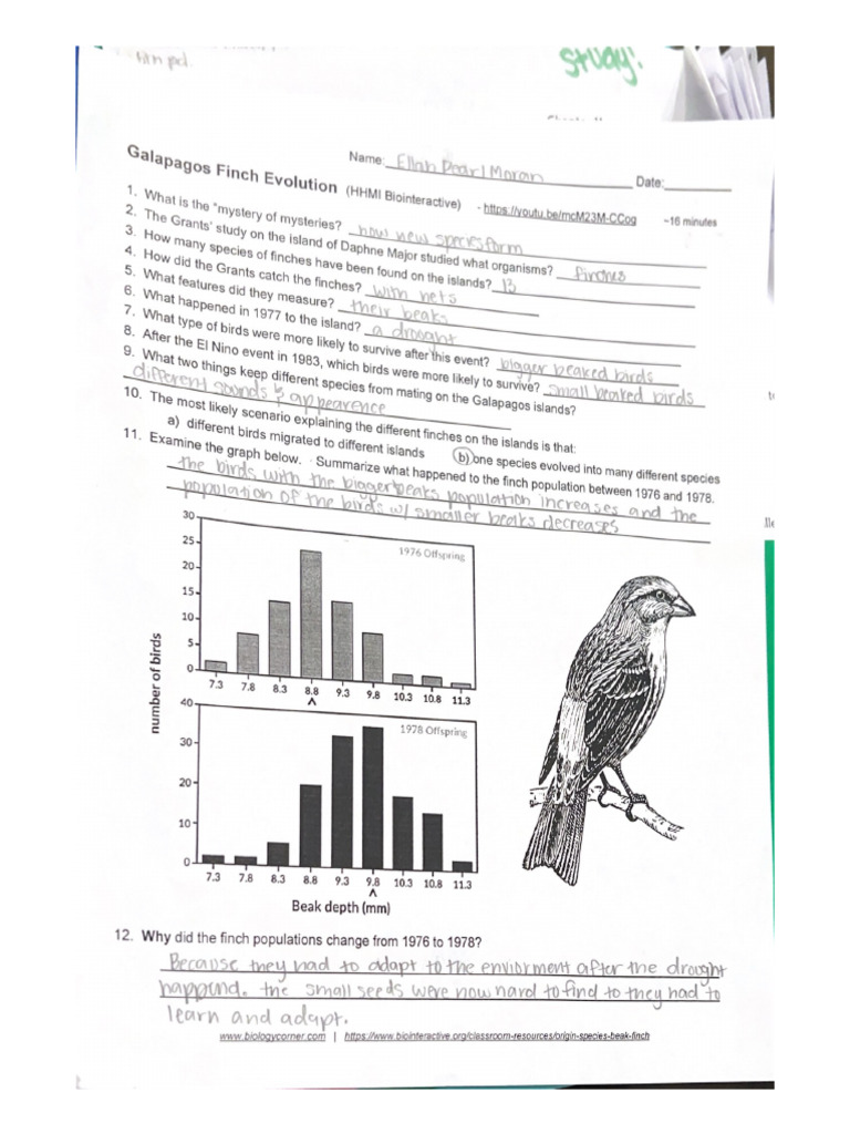 1. What is the Mystery of Mysteries How New Species Phrm | PDF