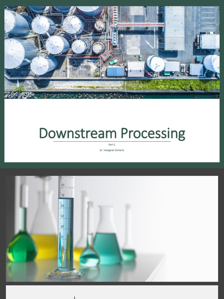 Downstream Processing: Chromatography Techniques | PDF | Chromatography ...