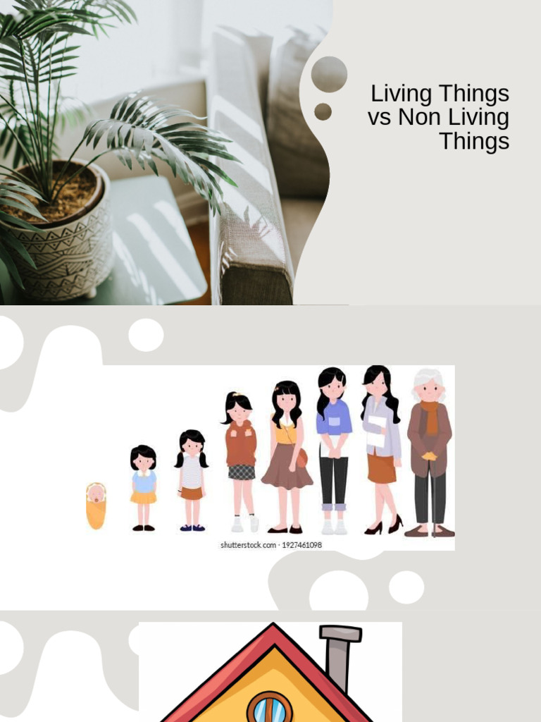 Living Things Vs Non Living Things | PDF