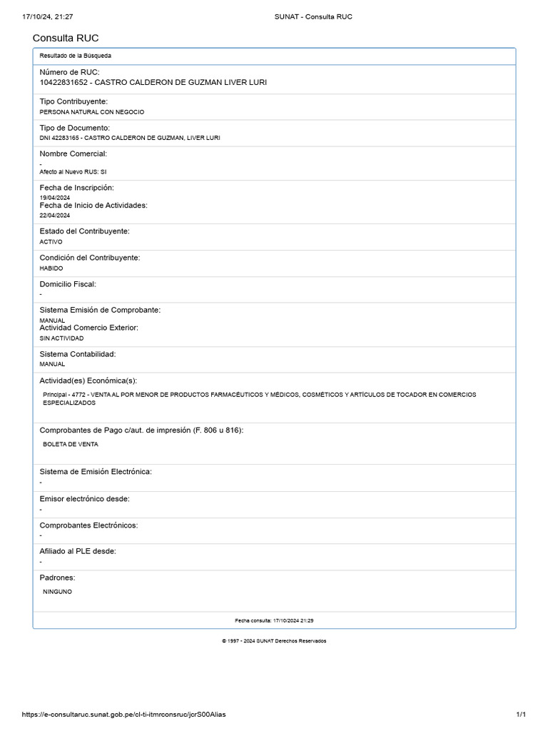 Consulta RUC CASTRO 000088 | PDF