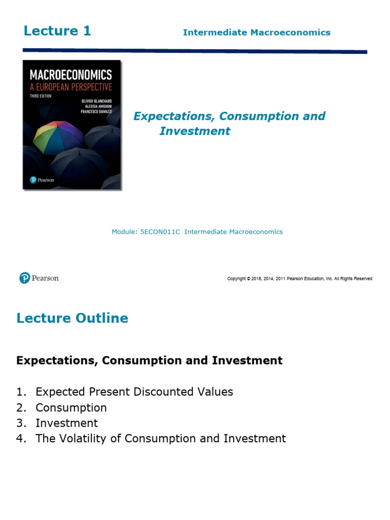 Lecture 1. Expectations, Consumption & Investment | PDF | Consumption (Economics) | Investing