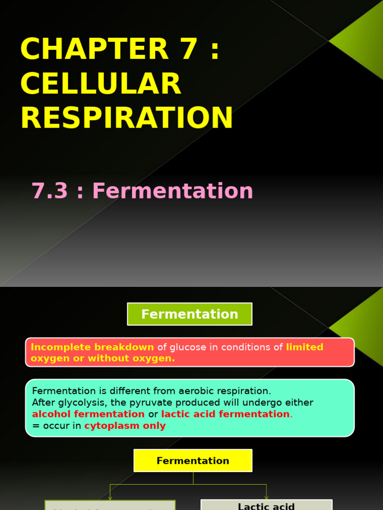 Form 4 7.3 Fermentation | PDF | Fermentation | Lactic Acid