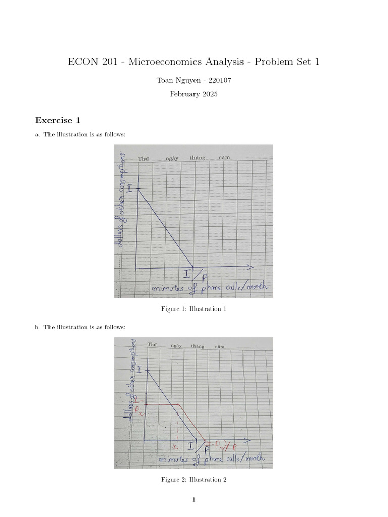 ECON201__Problem_Set_1 | PDF | Utility | Diversification (Finance)