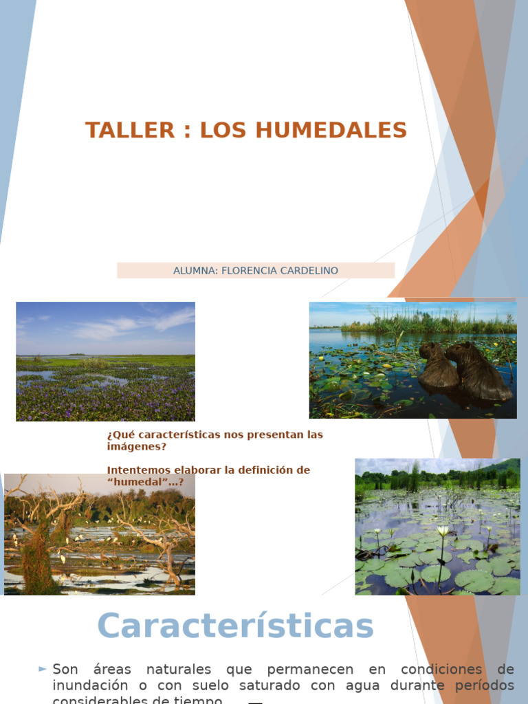 Humedales | PDF | Humedal | Agua
