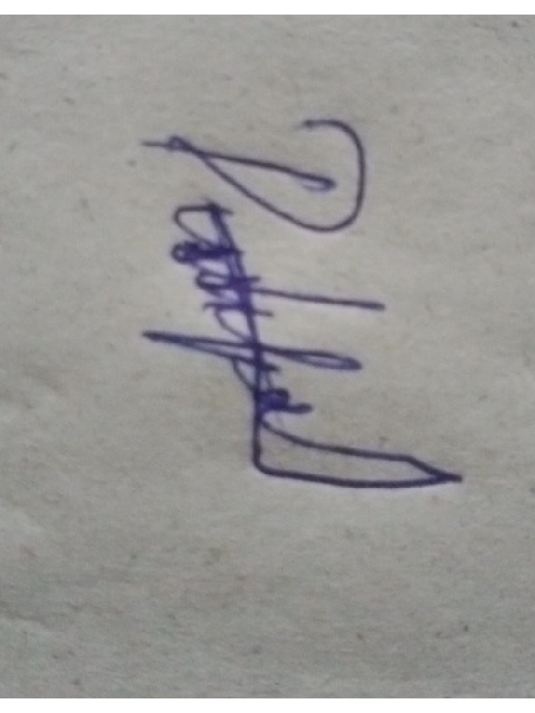 Signature | PDF