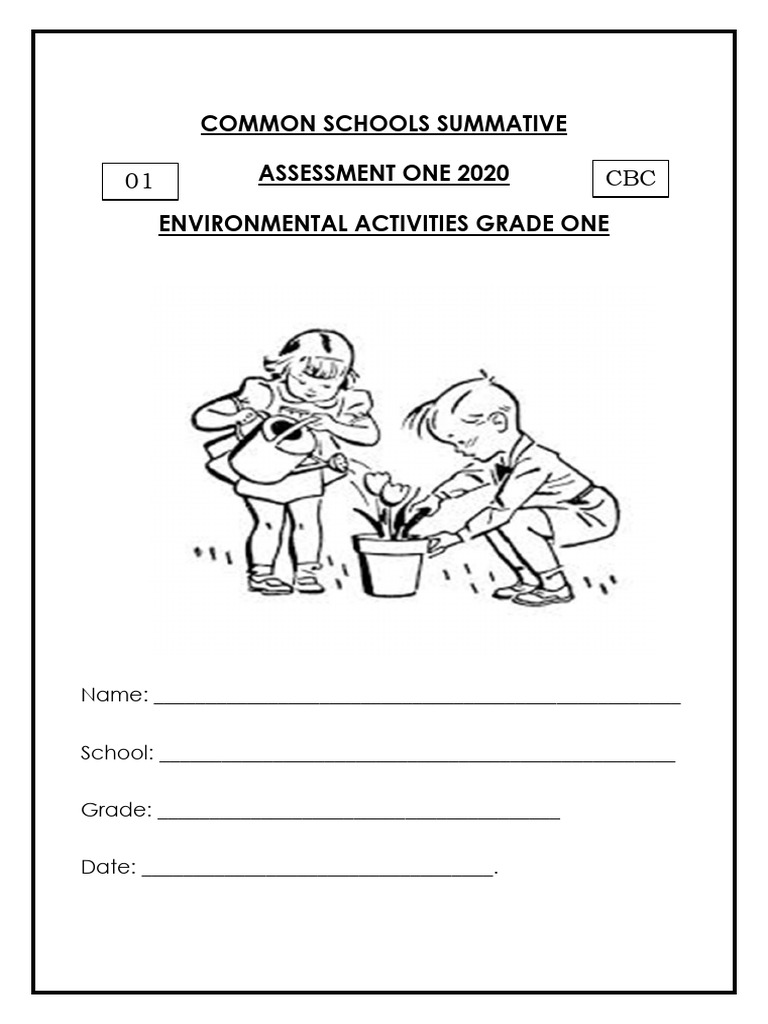 Grade 1 - Environmental Exam - JK | PDF | Water | Sky