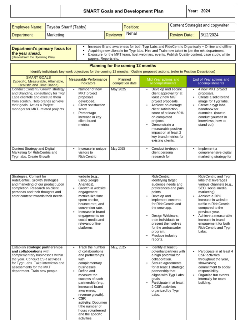 SMART Goals and Development Plan | PDF | Marketing | Corporate Social Responsibility
