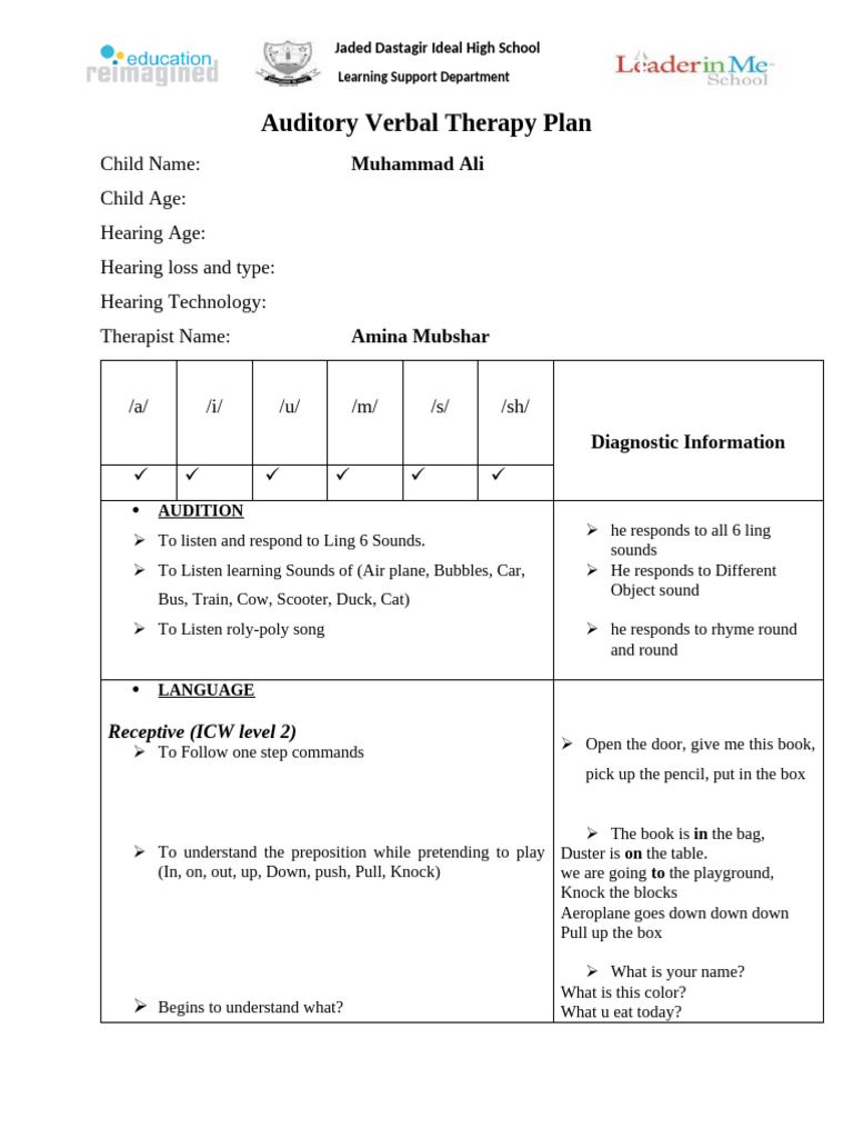 M. Ali Auditory Verbal Therapy Plan | PDF | Behavioural Sciences | Cognition