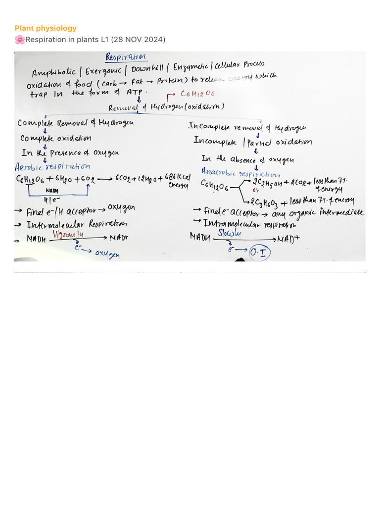 Plant Physiology Pdf