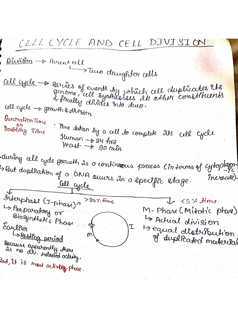 Cell Division and Cell Cycle | PDF | Life Sciences | Biotechnology