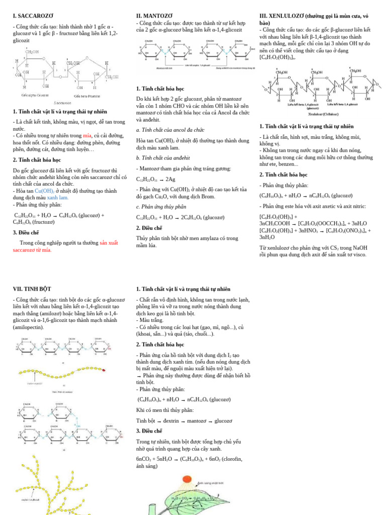 Sac Man Xen TB | PDF