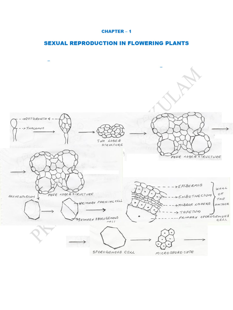 HSE-II CHAPTER-1 | PDF | Seed | Flowers