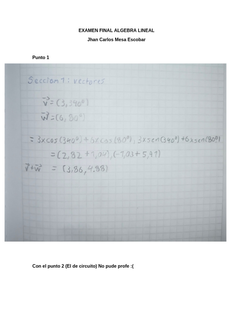 EXAMEN FINAL ALGEBRA LINEAL | PDF