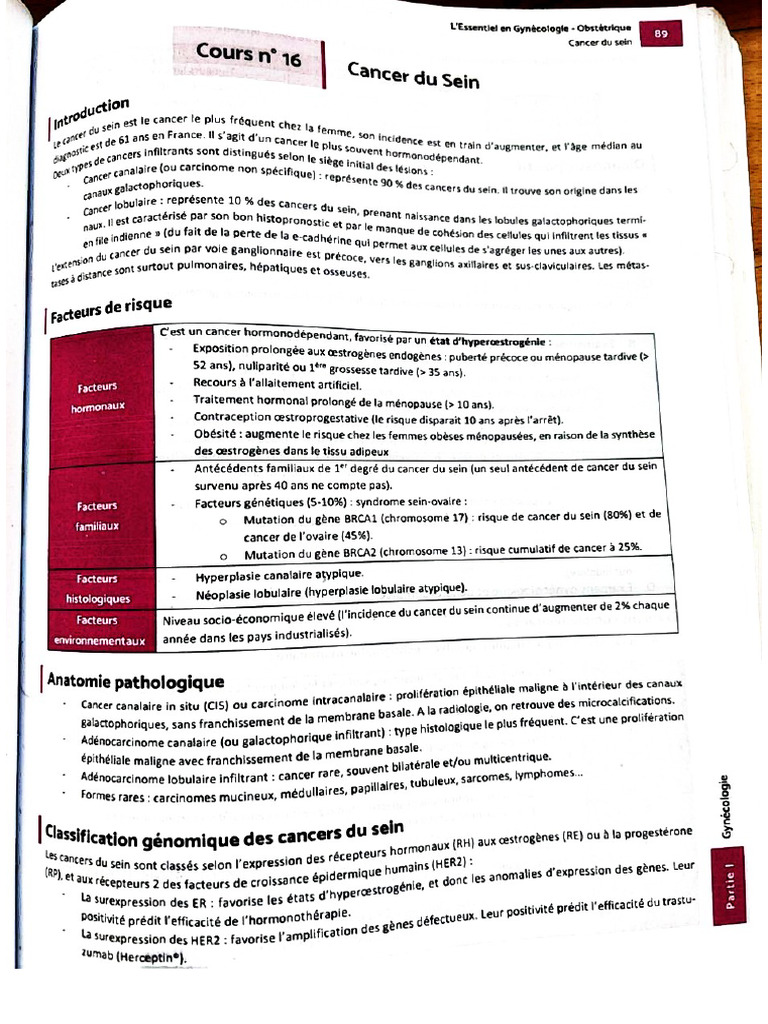 Scanner KC Du Sein | PDF