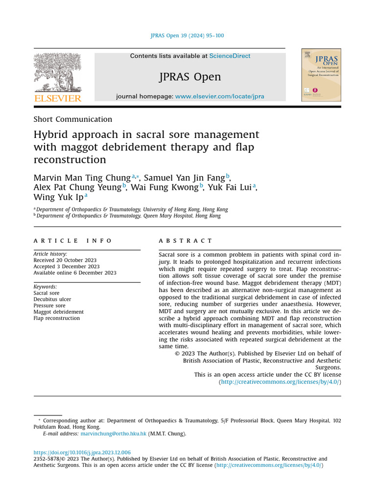Hybrid Approach in Sacral Sore Management With Mag | PDF | Wound ...