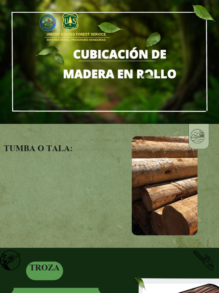 Cubicación de Madera en Rollo | PDF