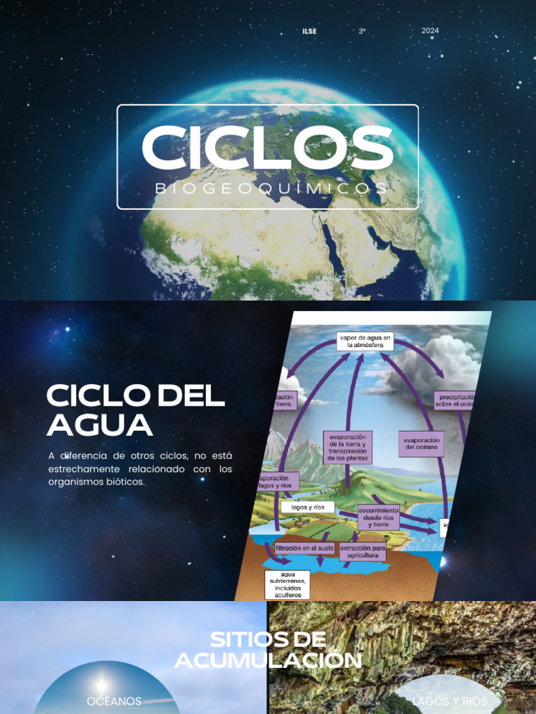 Ciclos | PDF