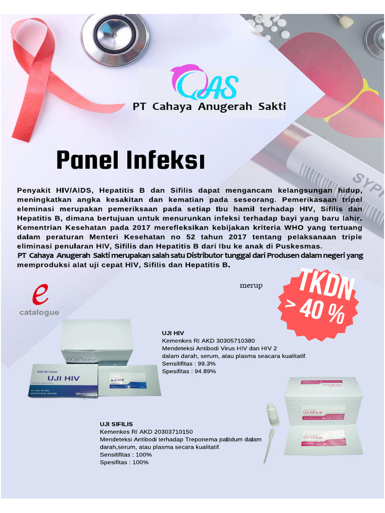 Panel Inspeksi PT CAS | PDF