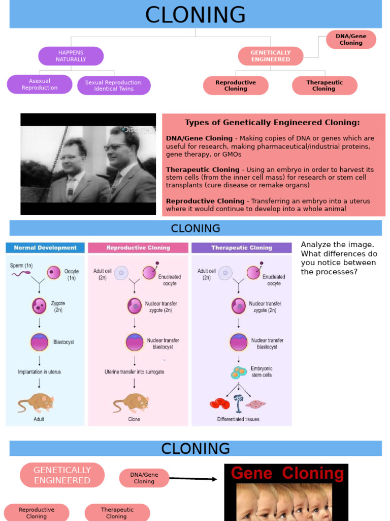 Cloning Techniques and Ethical Considerations | PDF | Cloning | Developmental Biology