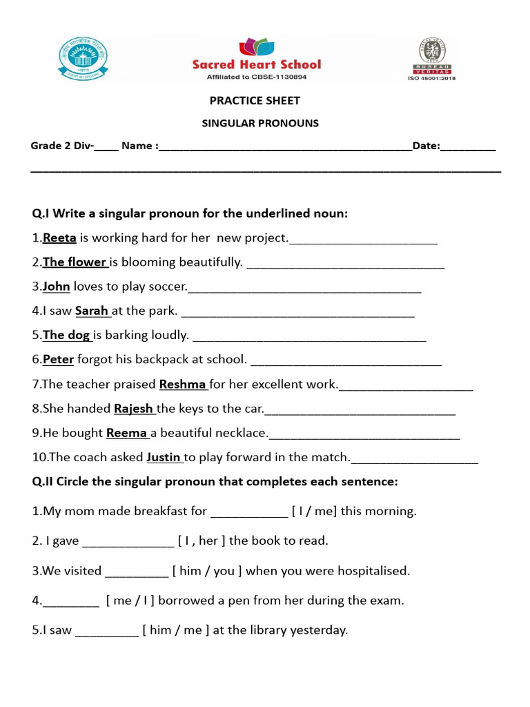 Singular and Plural Pronouns Practice | PDF
