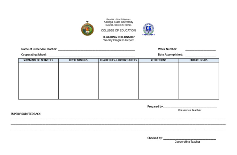 Weekly Progress Report Form (1) | PDF