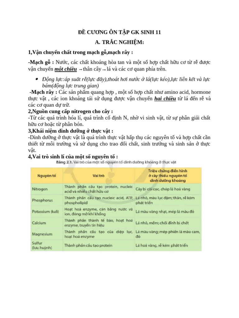 ĐỀ CƯƠNG ÔN TẬP GK SINH 11 | PDF