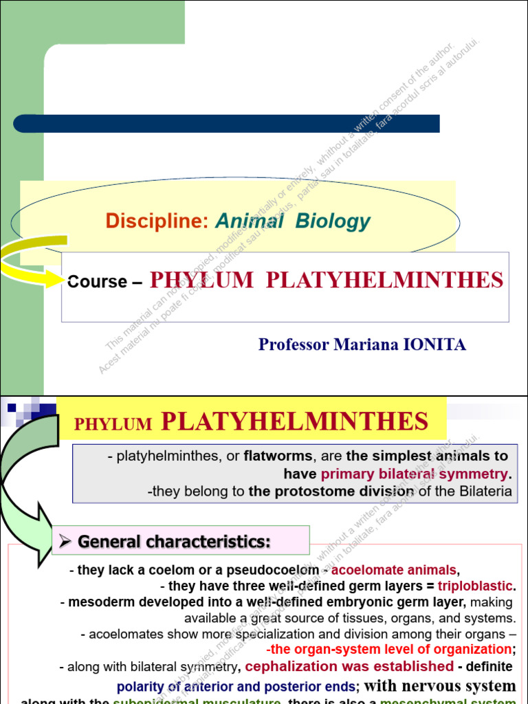 4.5.platyhelminthes PDF | PDF