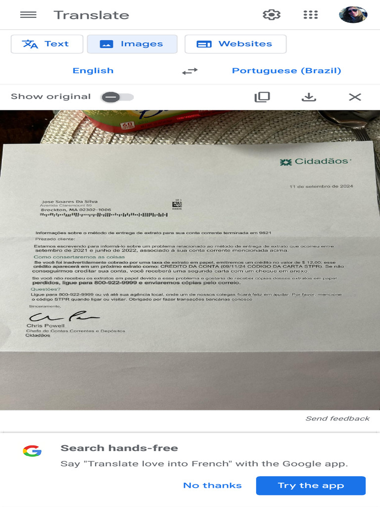 Google Translate | PDF