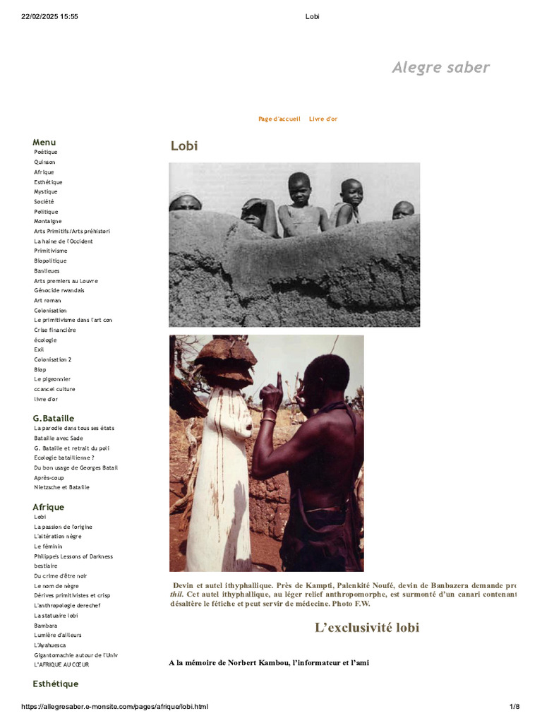Lobi | PDF