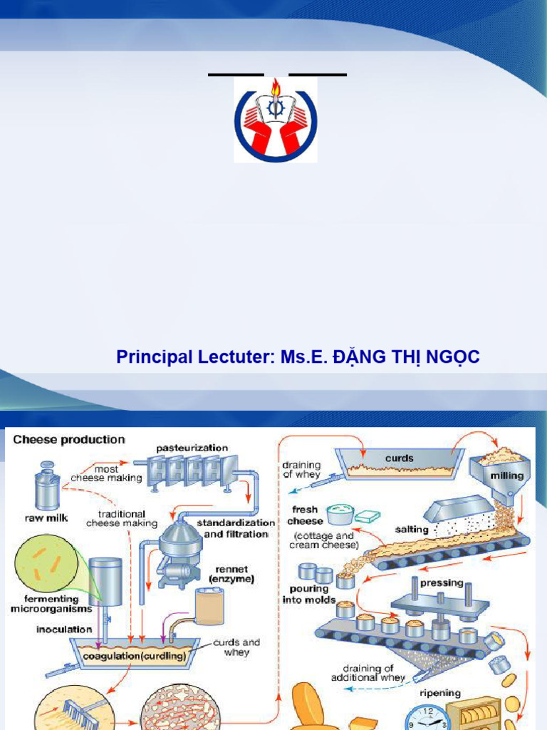 Lesson 9. Cheese Production Technology | PDF | Cheese | Milk