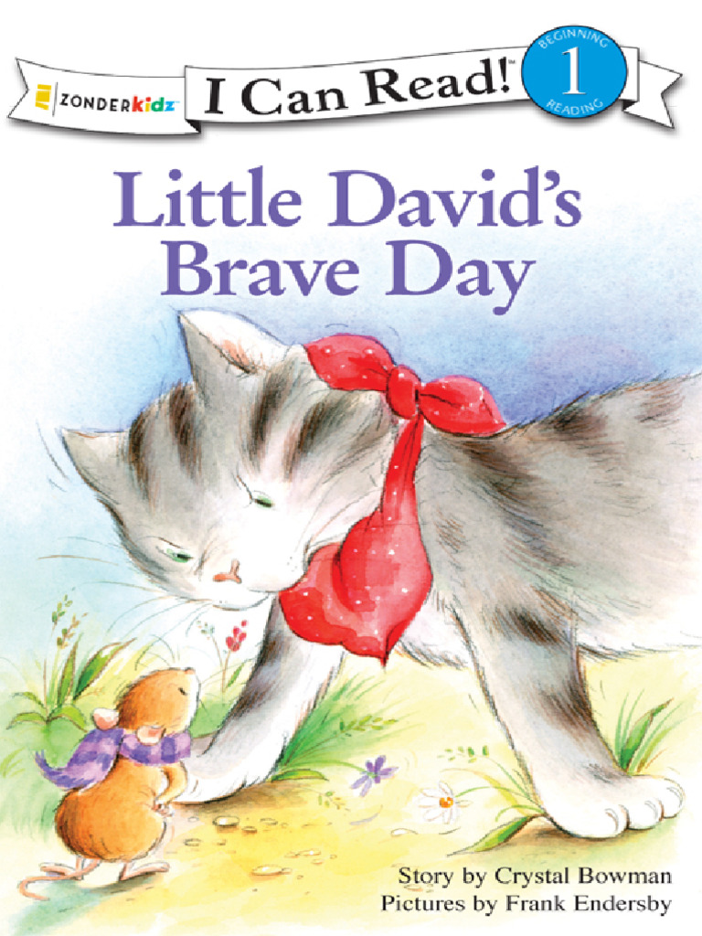 Little Davids Brave Day - Crystal Bowman | PDF | Zondervan | Books