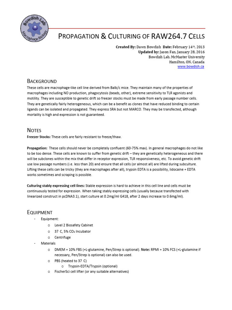 Culturing RAW264.7 Cells | PDF | Cell Biology | Biology