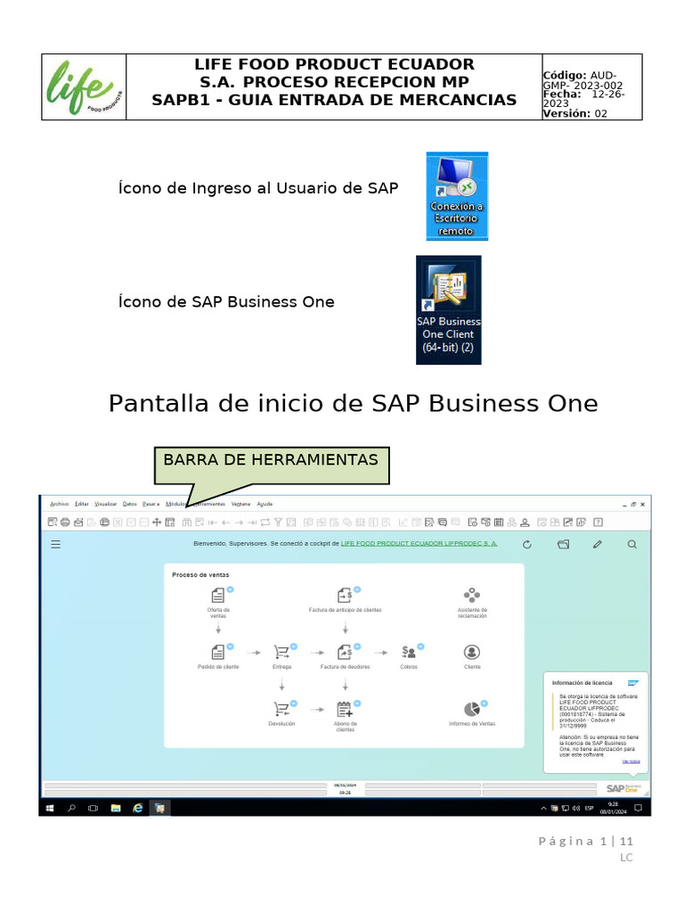 Guia Sapb1 para Entrada de Mercancias | PDF | Informática | Software