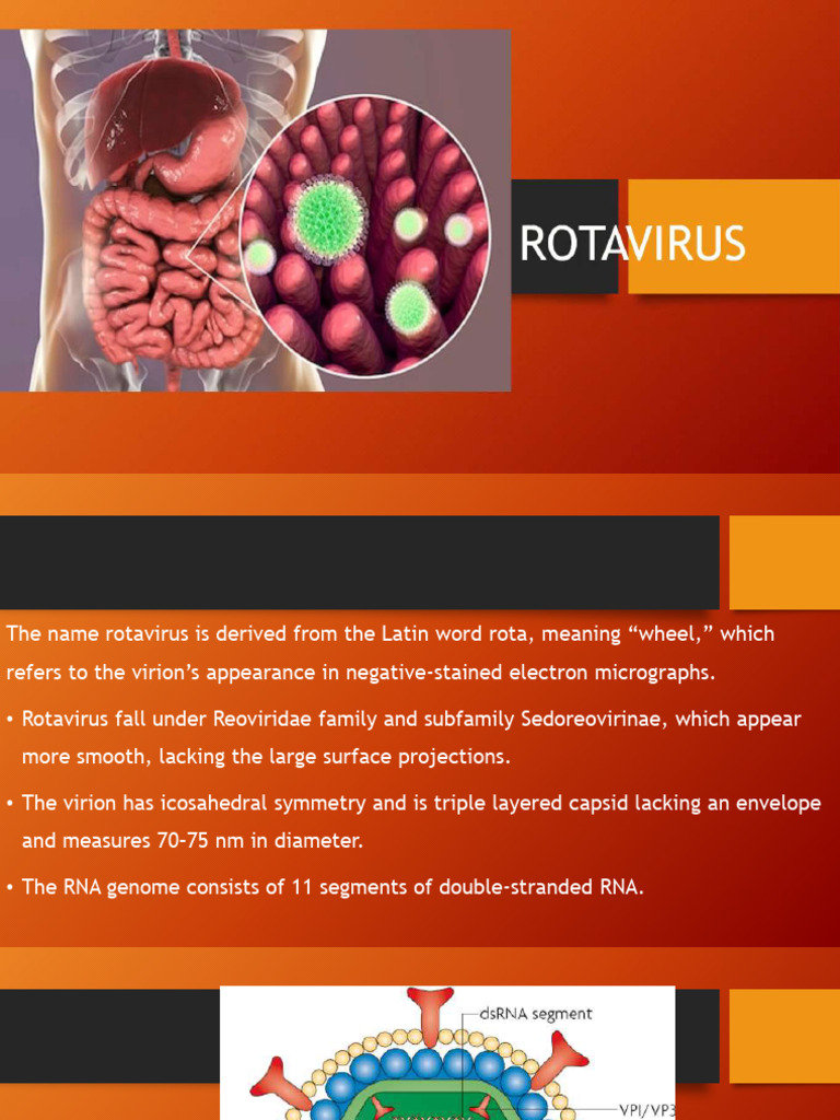 Understanding Rotavirus Infection and Treatment | PDF