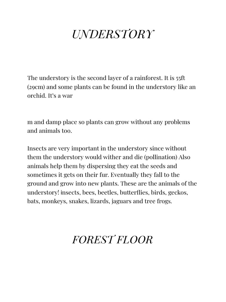 Facts About Rainforest Understory Layer | PDF