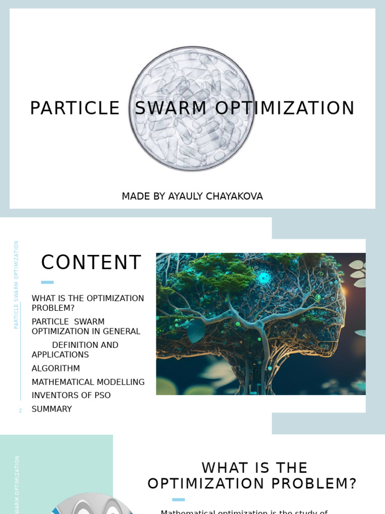 Particle Swarm Optimization | PDF | Mathematical Optimization | Computer Programming