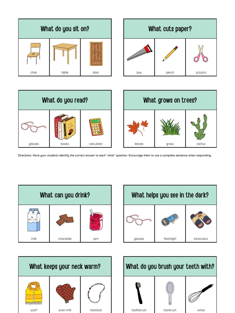 What Questions Flashcards For Speech Therapy in A Colorful Illustrated ...