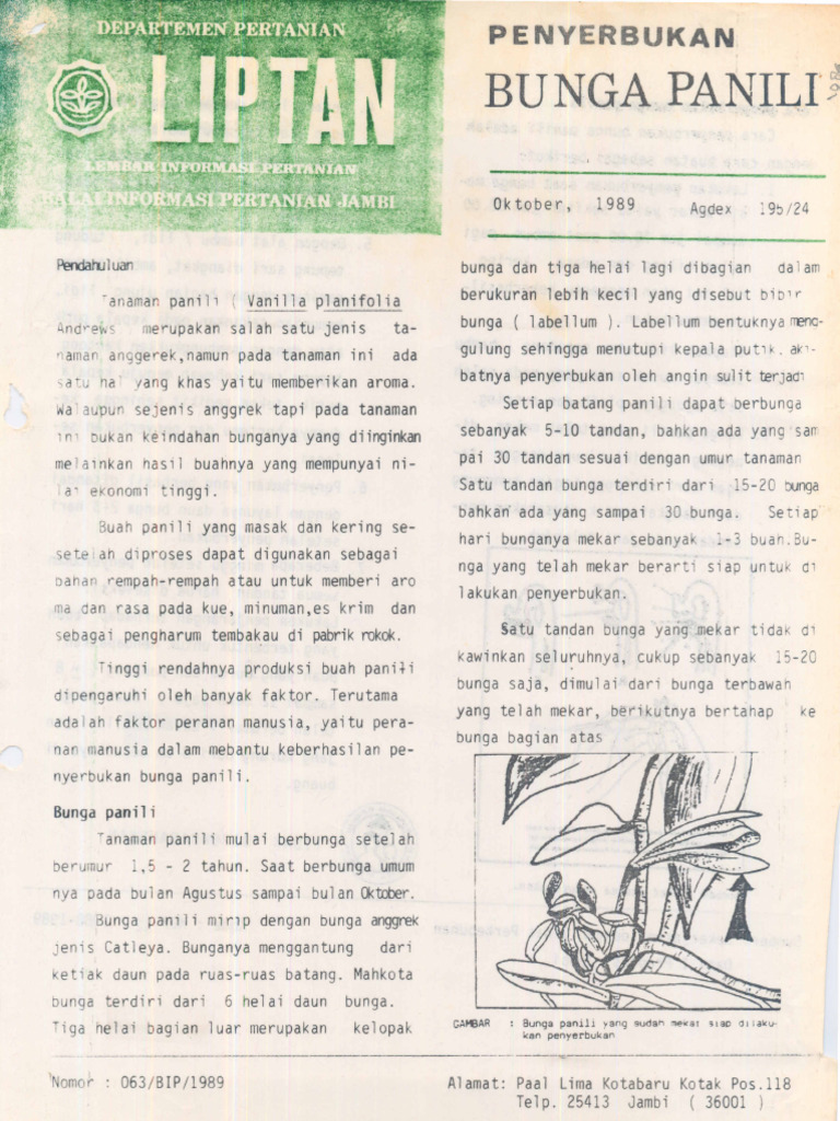 jambi_63_1989 | PDF