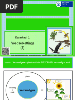 3 Voedselkettings en Voedselwebbe | PDF