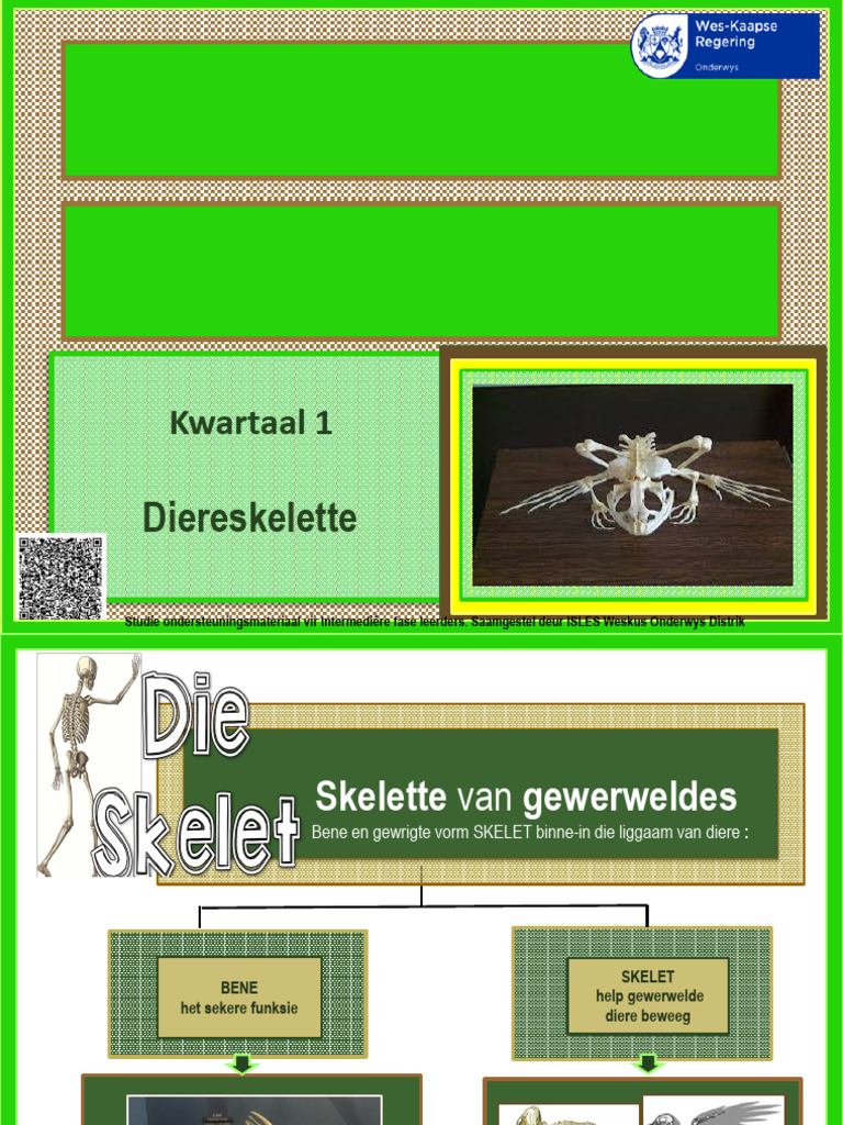 2.1 Diereskelette Van Gewerweldes | PDF