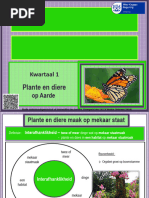 3 Voedselkettings en Voedselwebbe | PDF